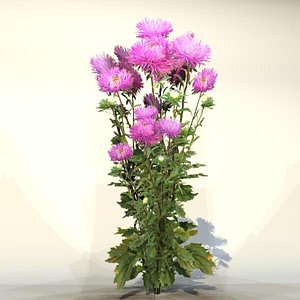 3ds Max Pc Flower