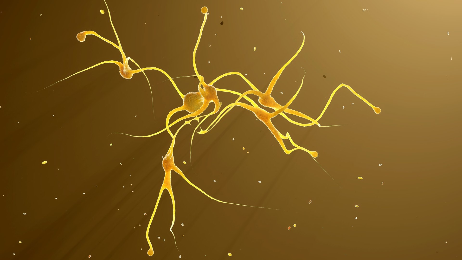 3D Neurons Doctor Model - TurboSquid 1474999
