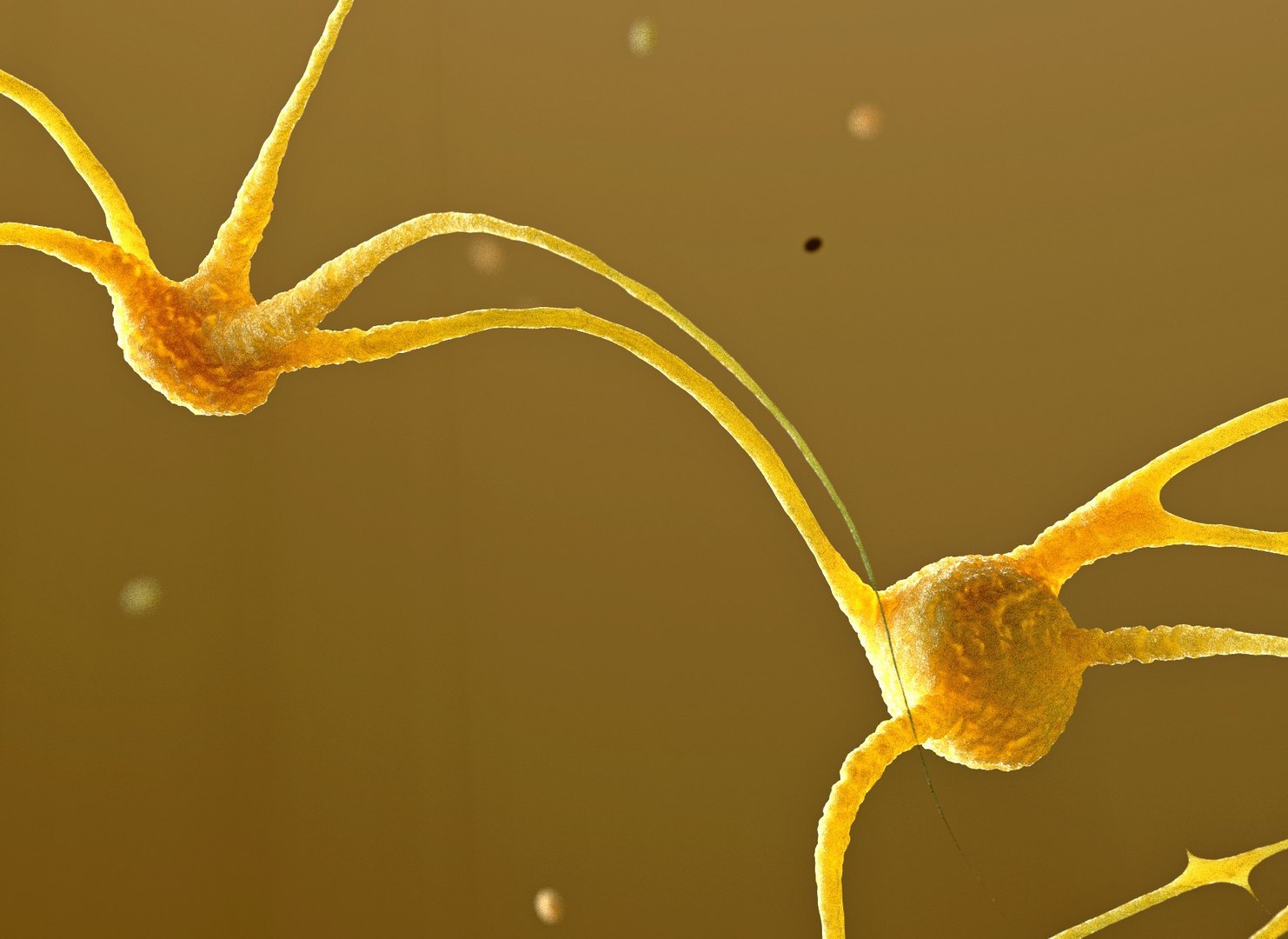 3D Neurons Doctor Model - TurboSquid 1474999