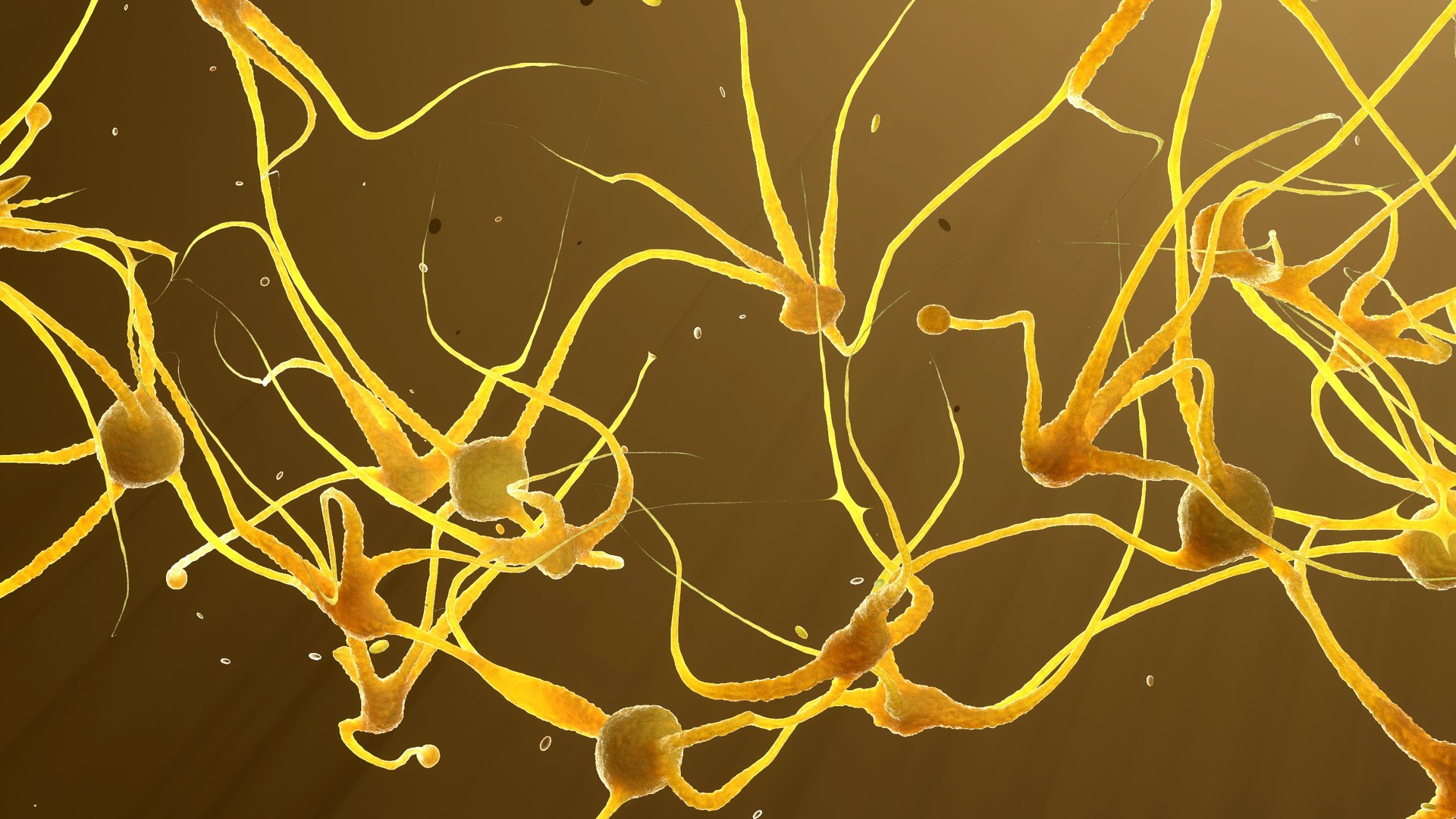 3D Neurons Doctor Model - TurboSquid 1474999