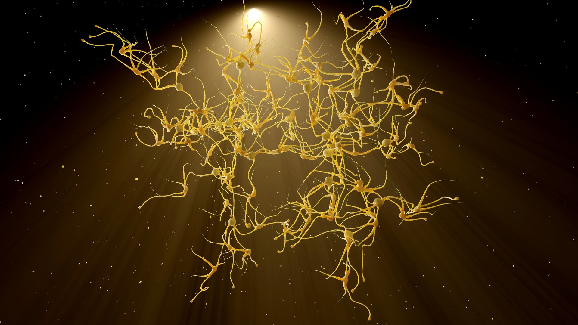 3D Neurons Doctor Model - TurboSquid 1474999