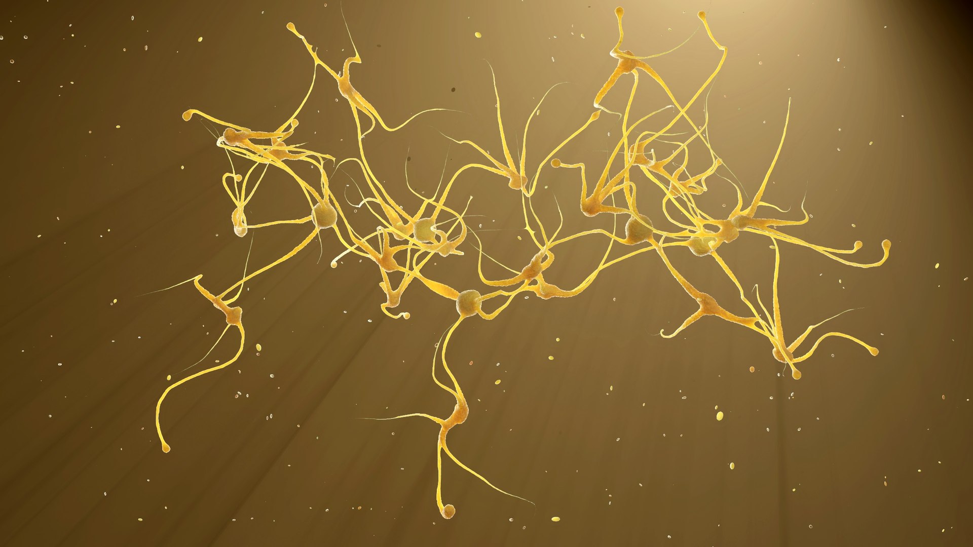 3D Neurons Doctor Model - TurboSquid 1474999