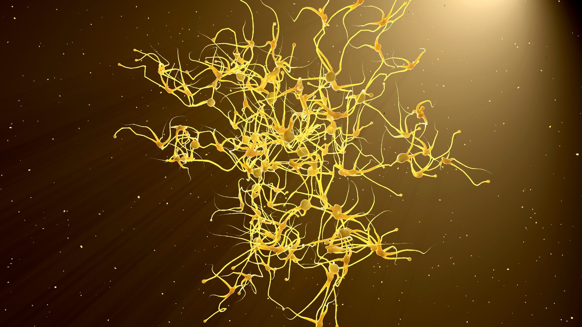 3D Neurons Doctor Model - TurboSquid 1474999