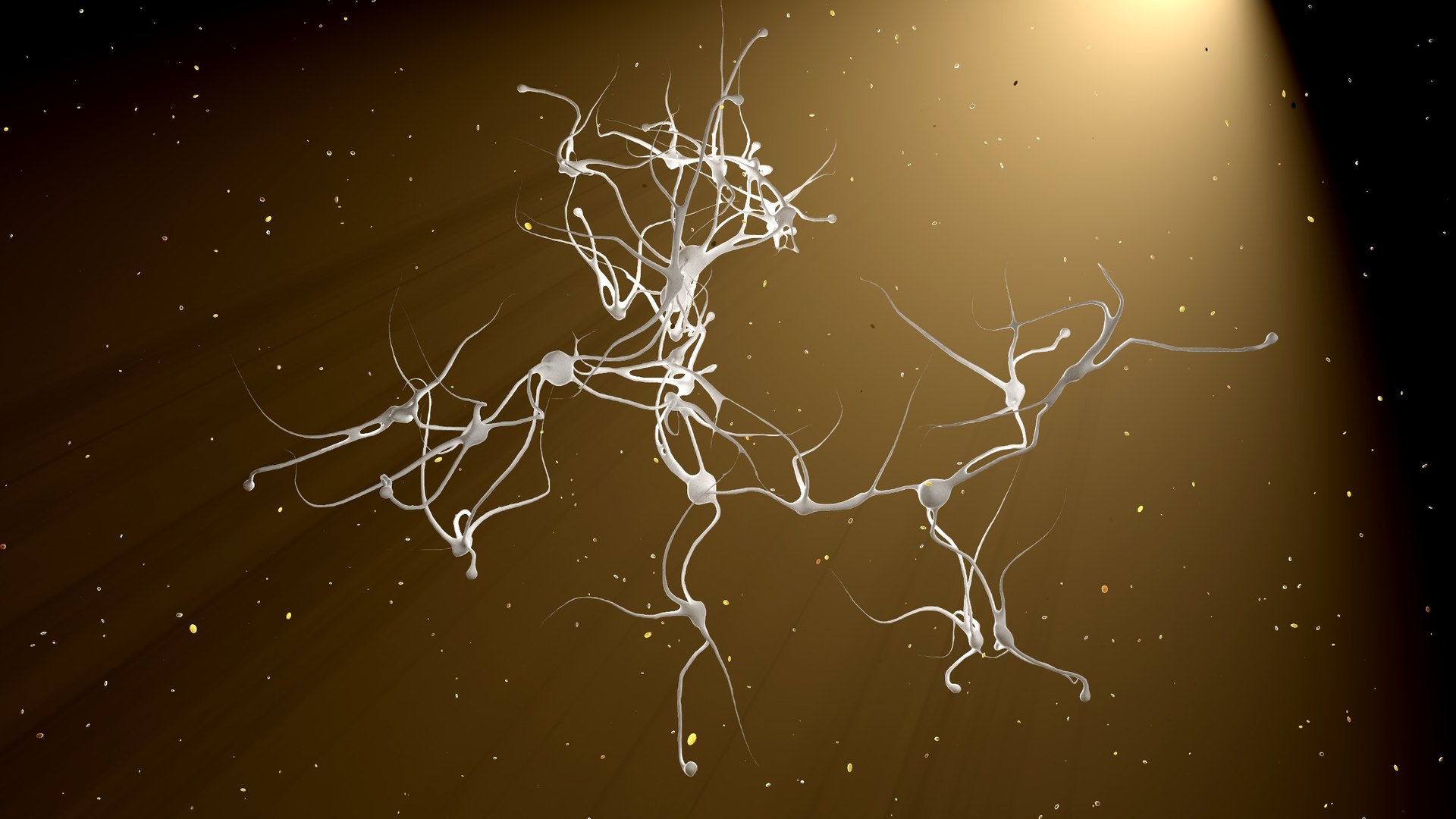 3D Neurons Doctor Model - TurboSquid 1474999