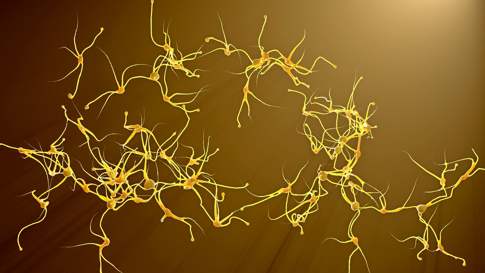 3D Neurons Doctor Model - TurboSquid 1474999