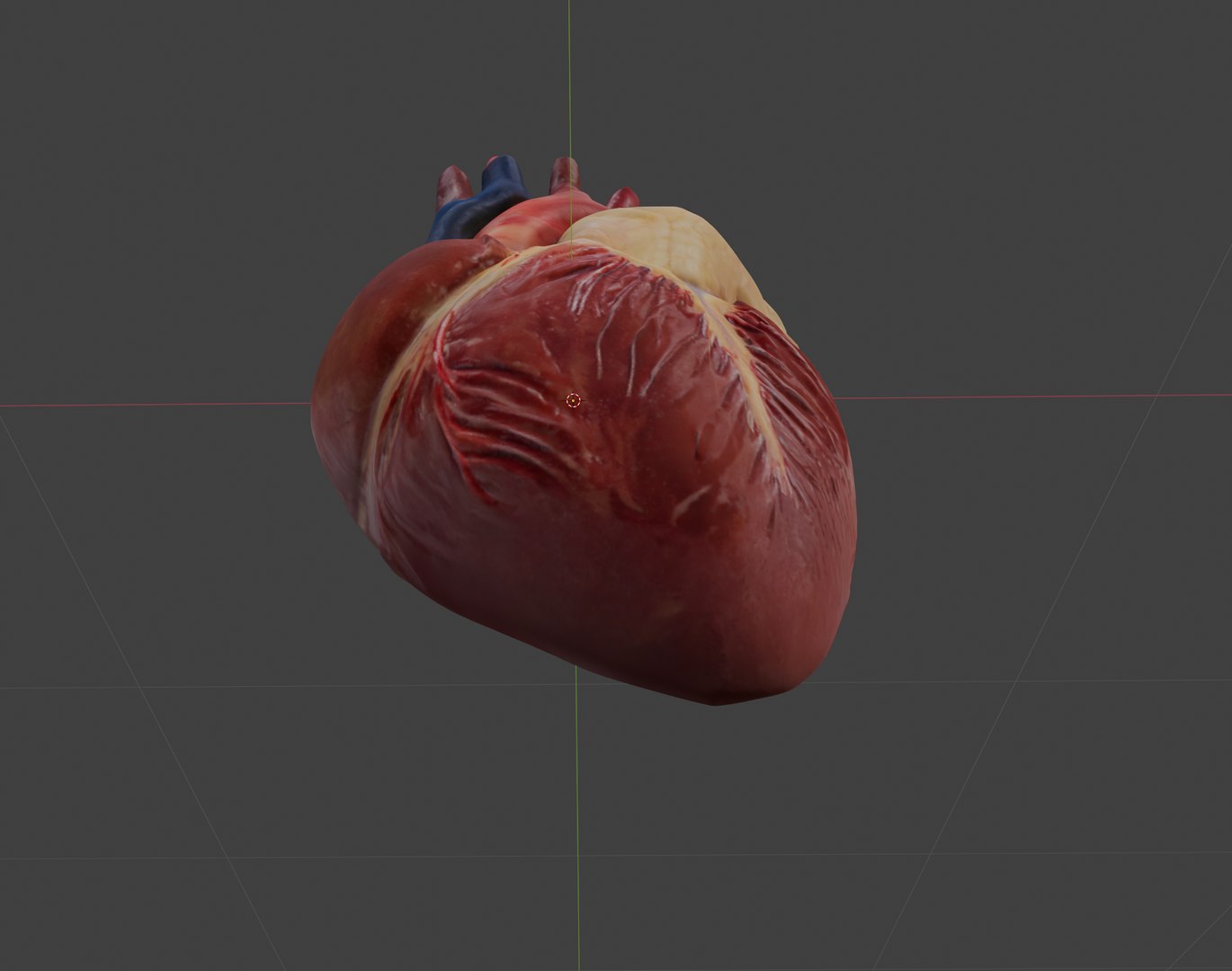 3D Anatomical Heart - TurboSquid 2261362