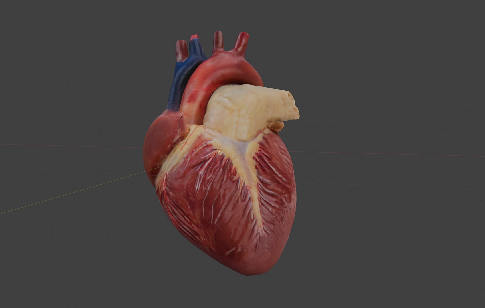 3D Anatomical Heart - TurboSquid 2261362