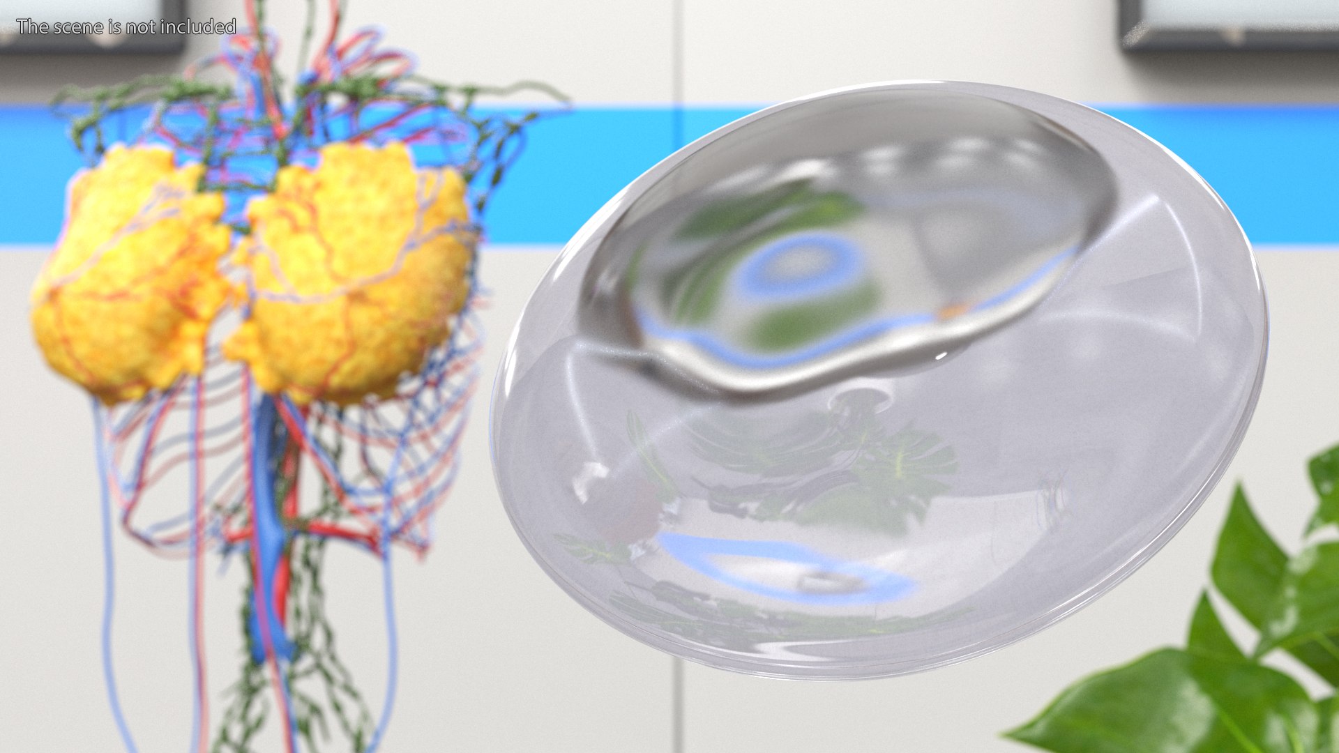 Low Smooth Breast Implant 3D Model - TurboSquid 2161781