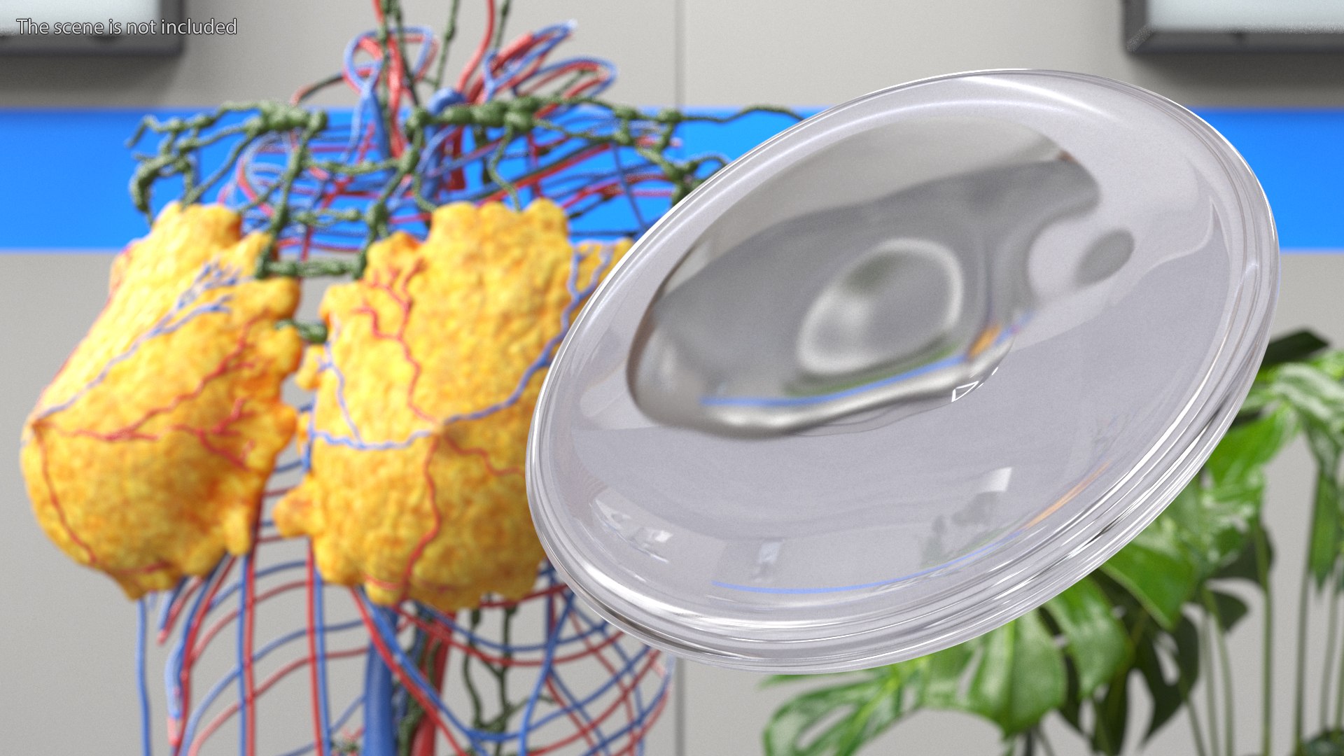 Low Smooth Breast Implant 3D Model - TurboSquid 2161781