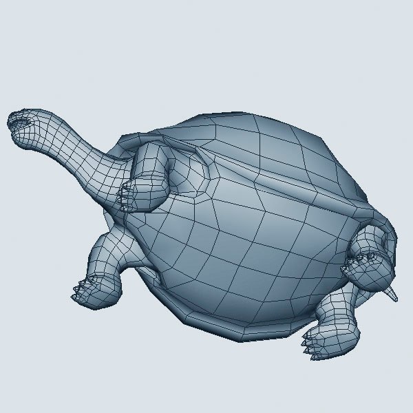 tortoise obj