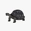tortoise obj