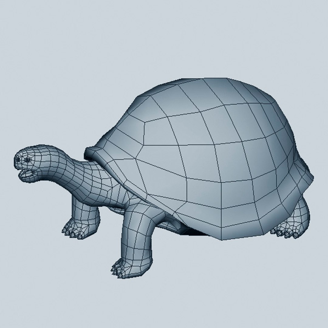 tortoise obj