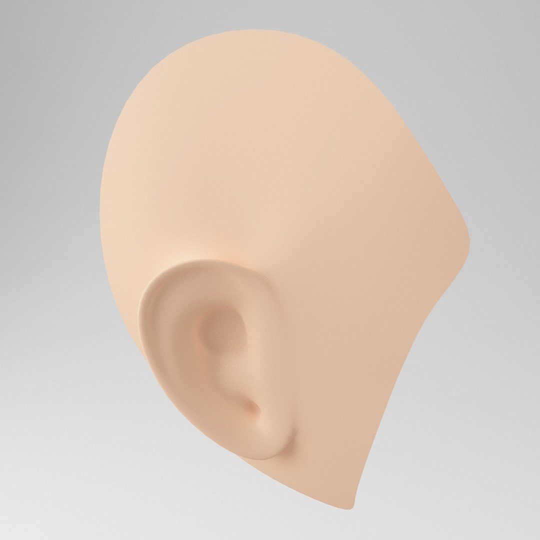 3d Model Of Ear Cartoon Toon