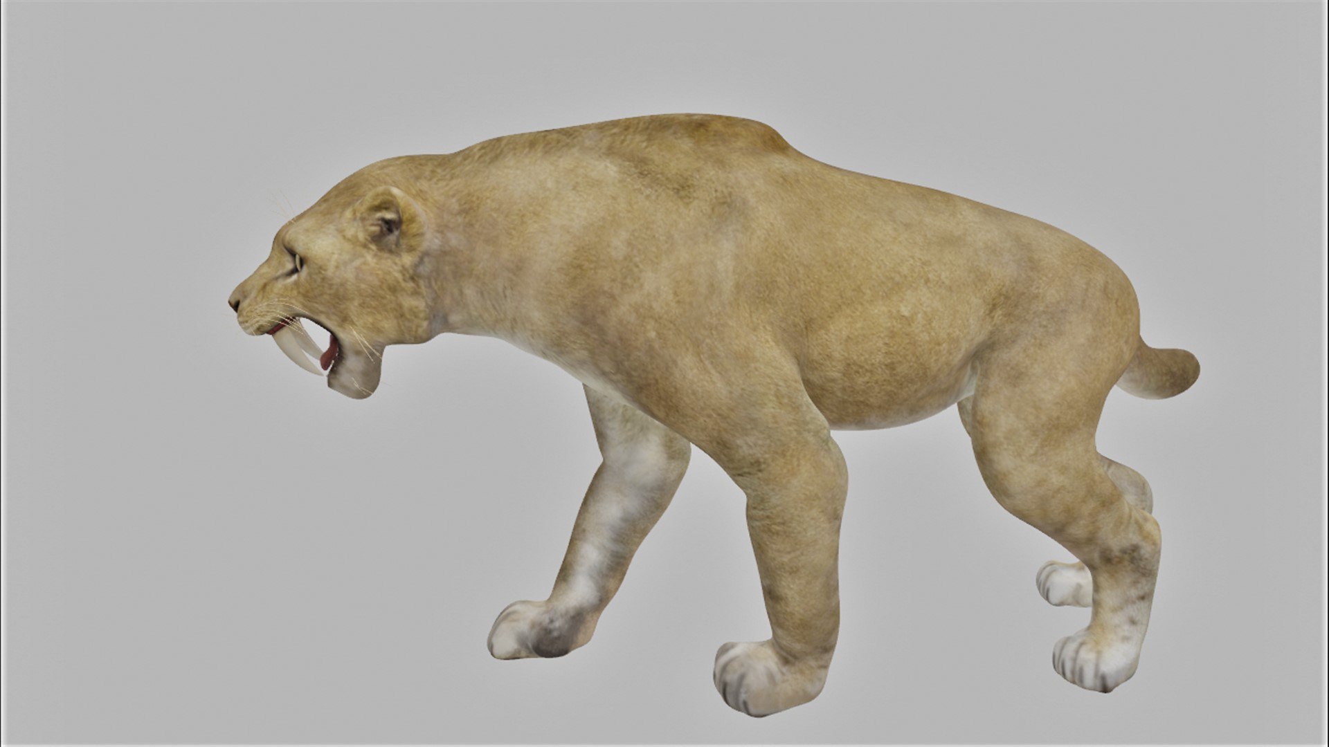 Smilodon 3D - TurboSquid 1658180