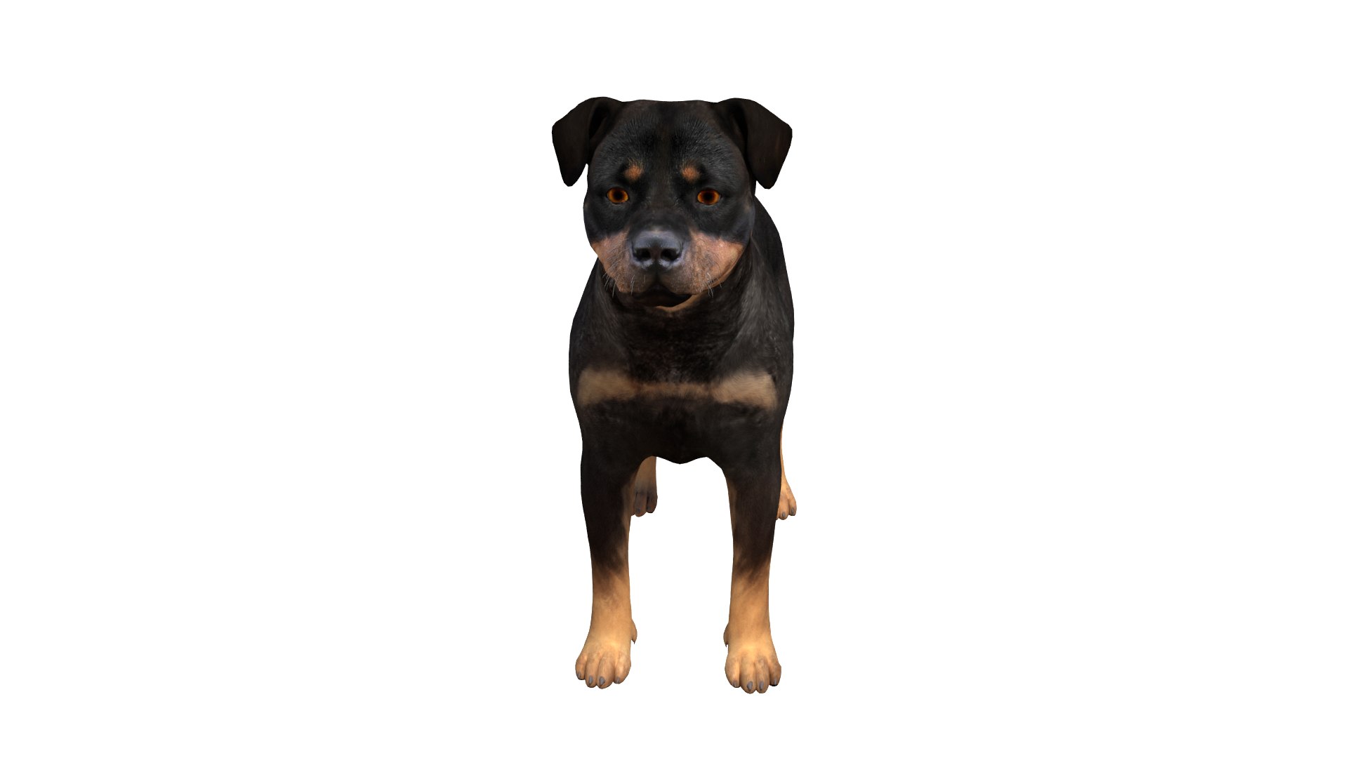 Rottweiler Dog 3D model - TurboSquid 2175786