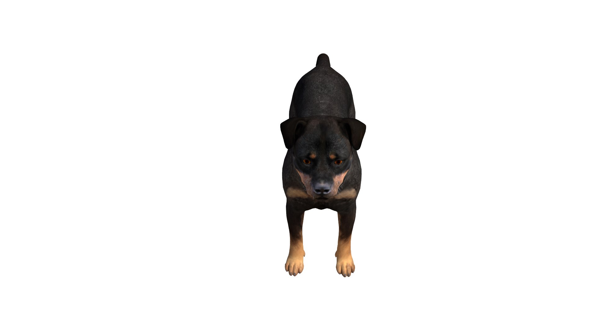 Rottweiler Dog 3D model - TurboSquid 2175786