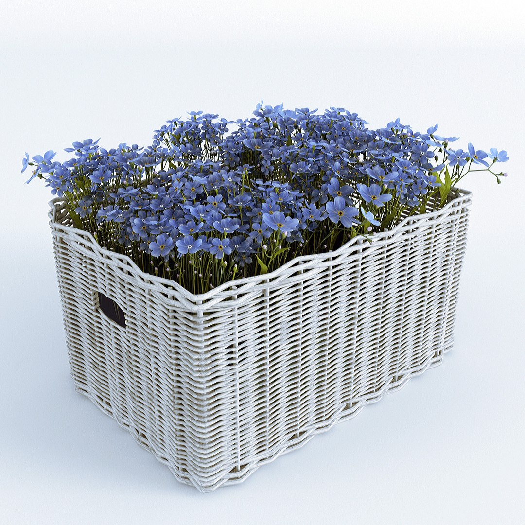 3d flowers forget-me-not basket