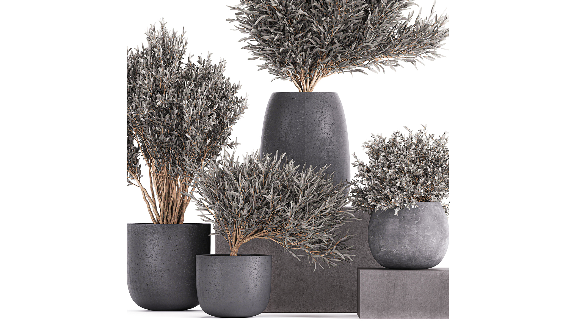 3D flower pot trees - TurboSquid 1681868