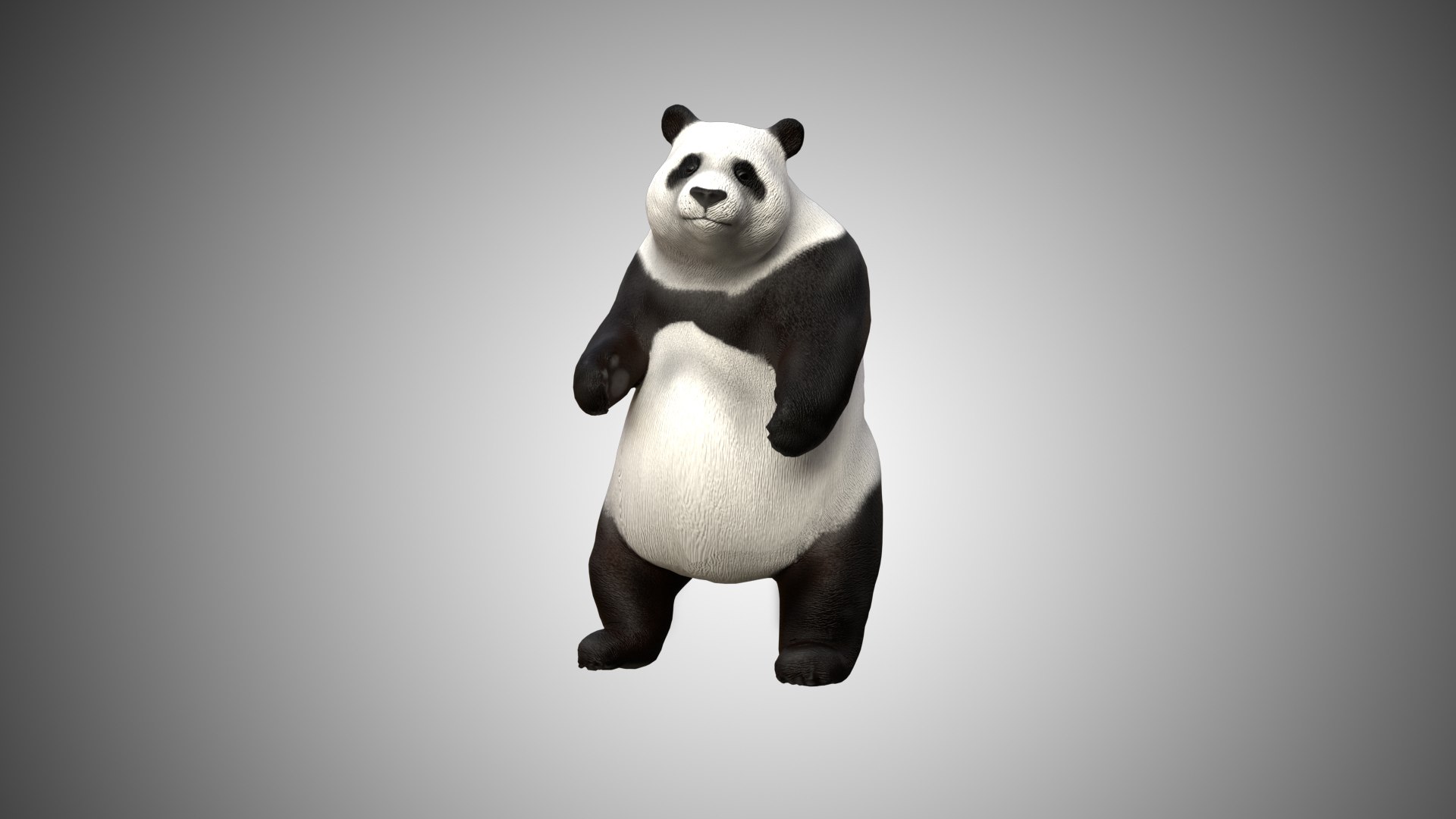 3D Rigged Realistic - TurboSquid 1591853