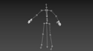 Human Body Rig 3D Models for Download | TurboSquid