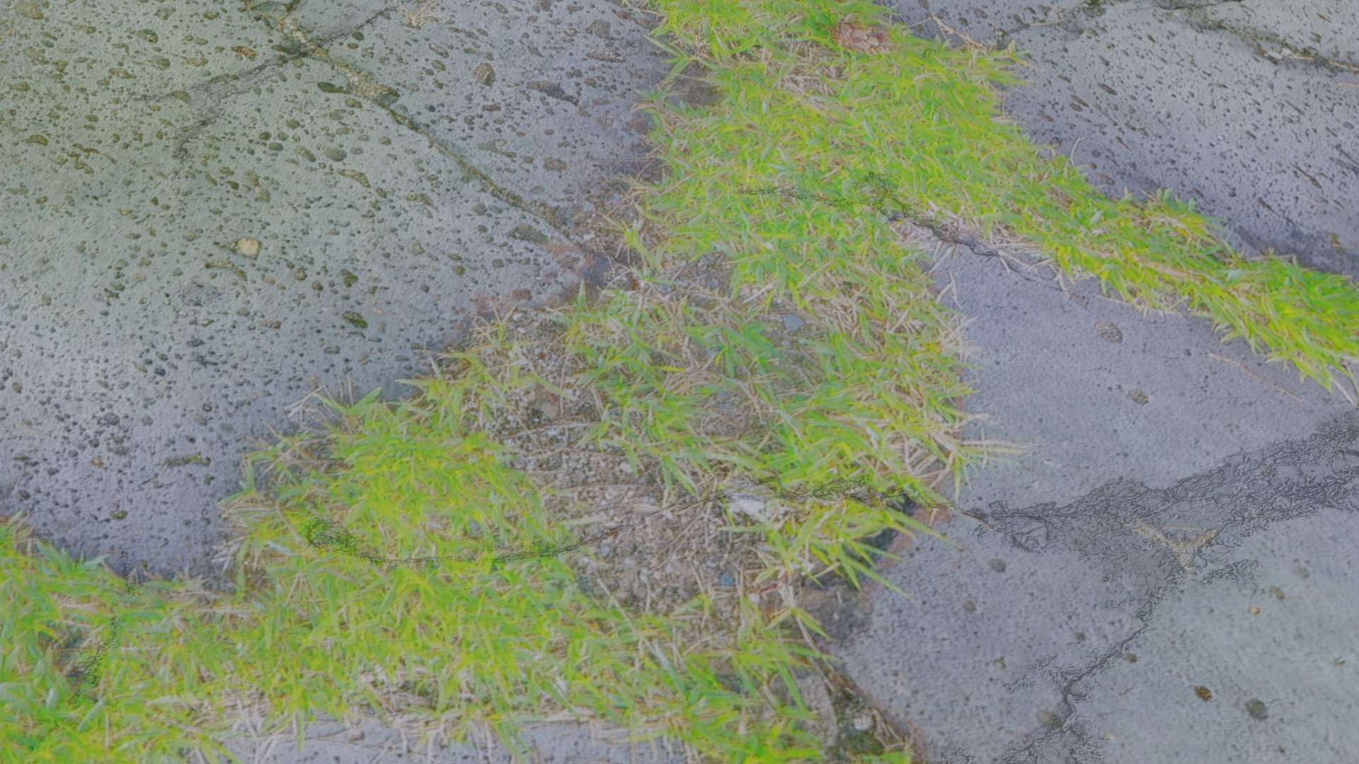 3 Types Of Ground Surface Set 3D Model - TurboSquid 1853213