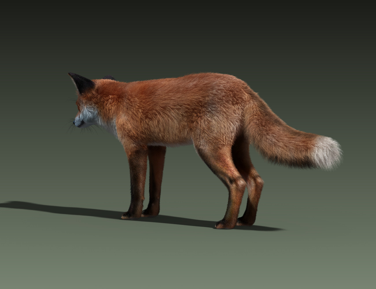 red fox fur rigged max