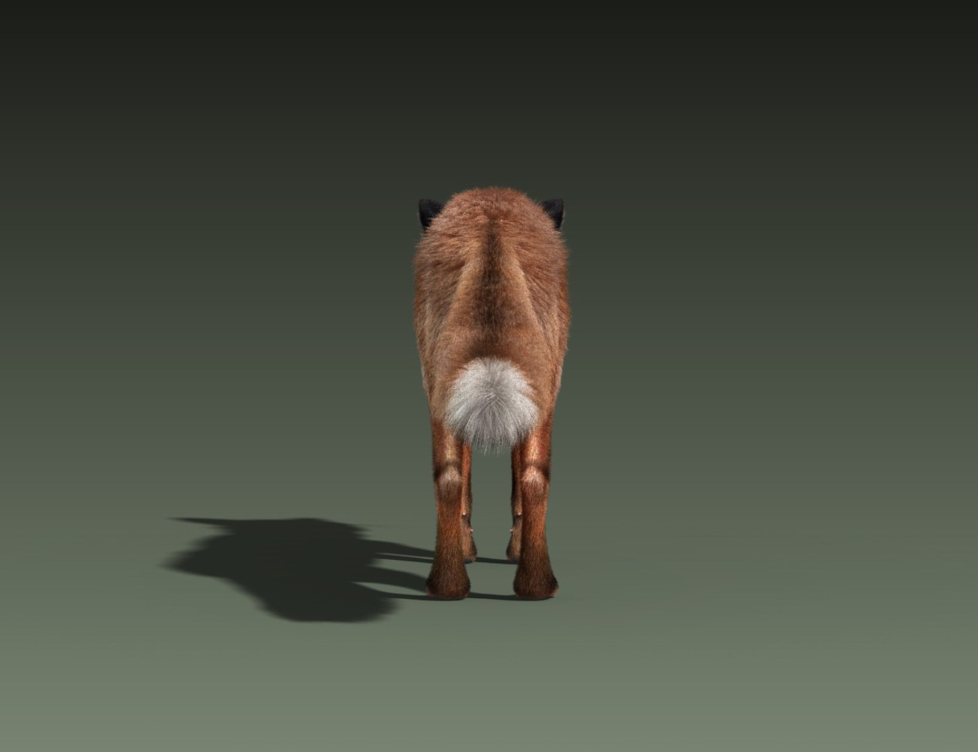 red fox fur rigged max