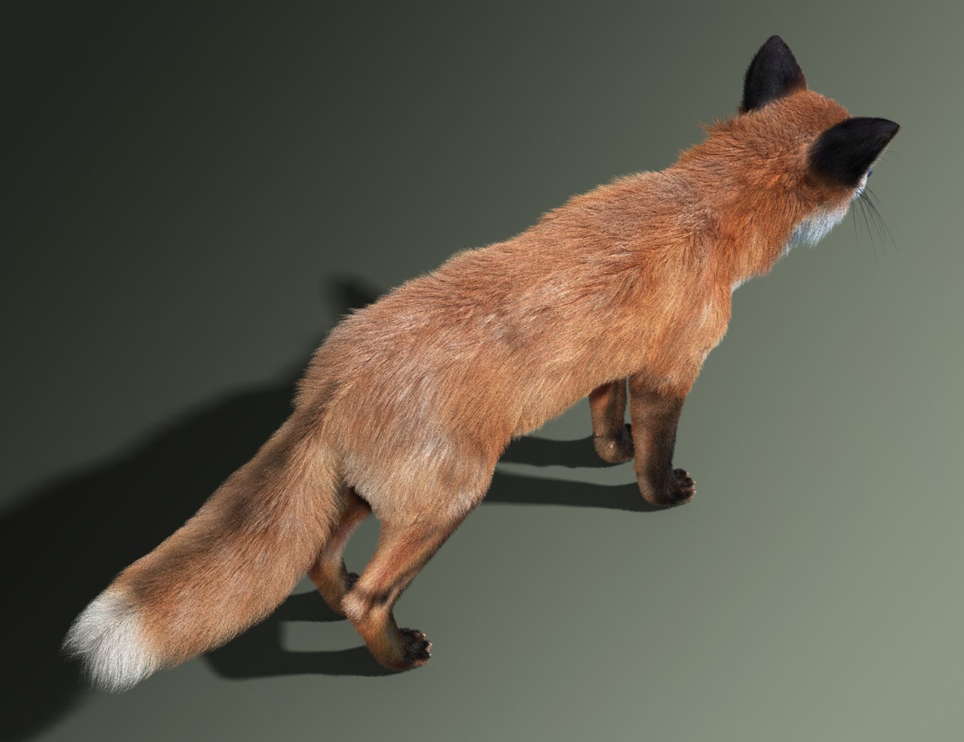 red fox fur rigged max