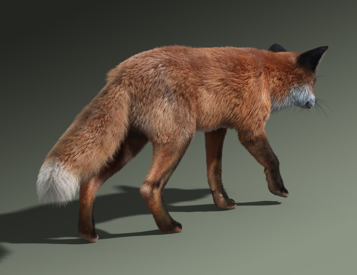 red fox fur rigged max