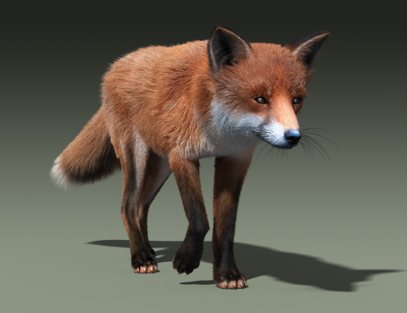 red fox fur rigged max