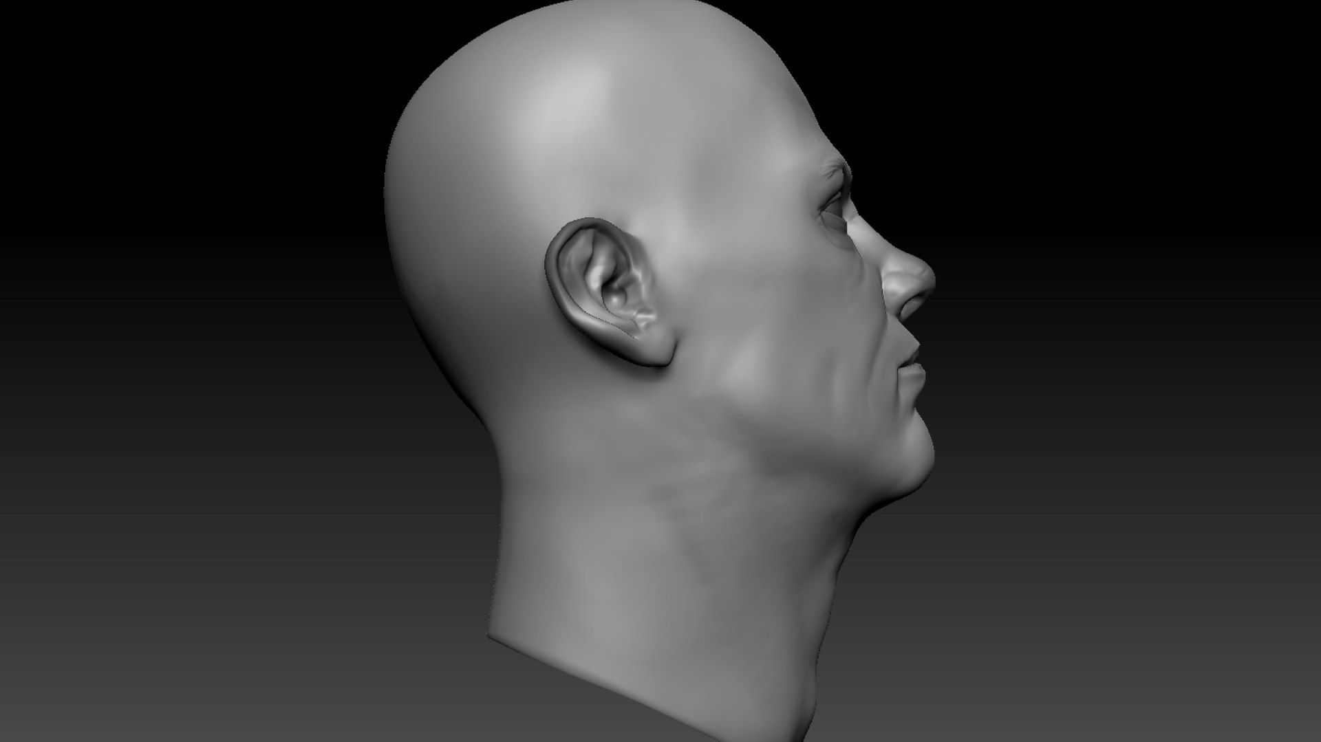 Head Study 3D Model - TurboSquid 1900396