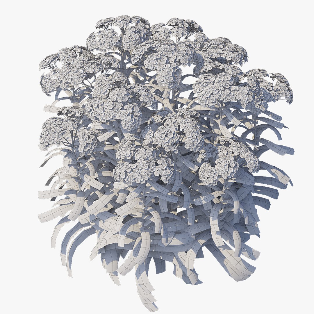 Bush 3D Model - TurboSquid 1446547