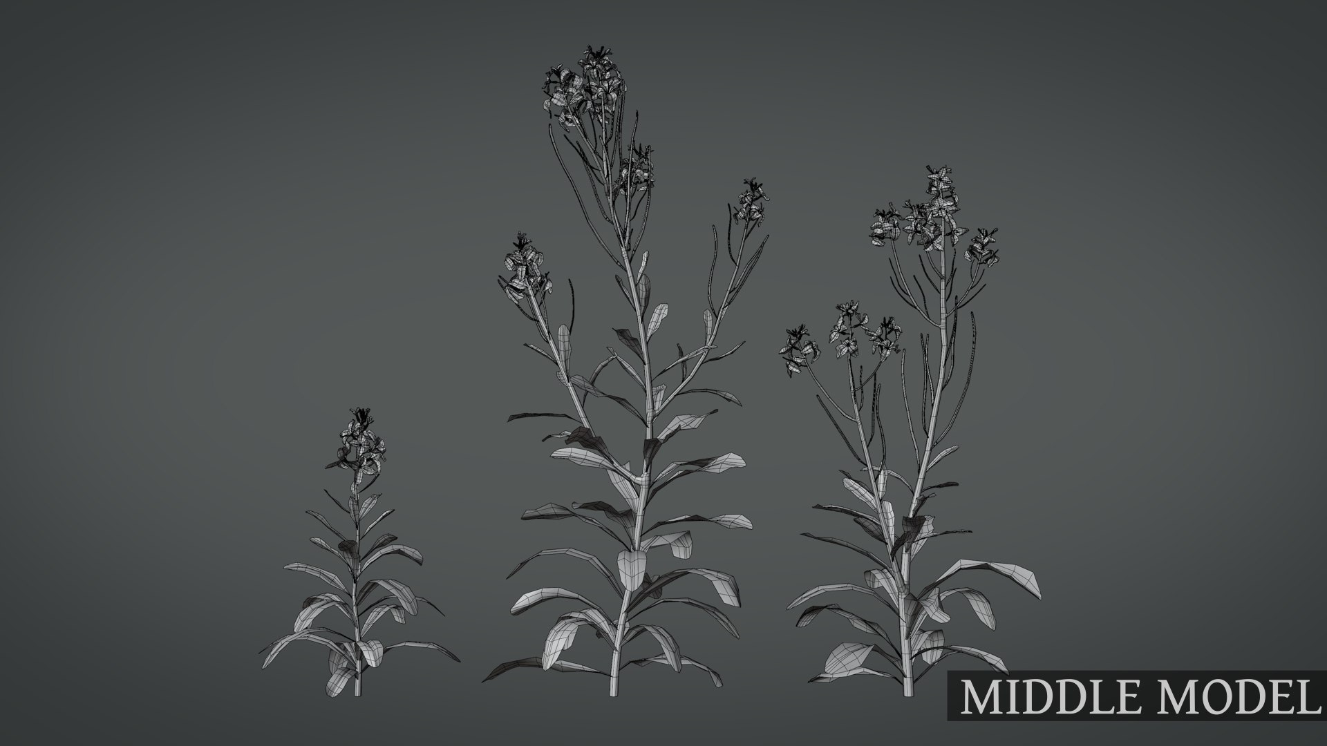3D Violet Flower Model - TurboSquid 2068023