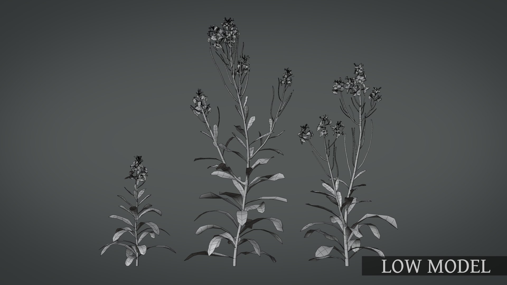 3D Violet Flower Model - TurboSquid 2068023