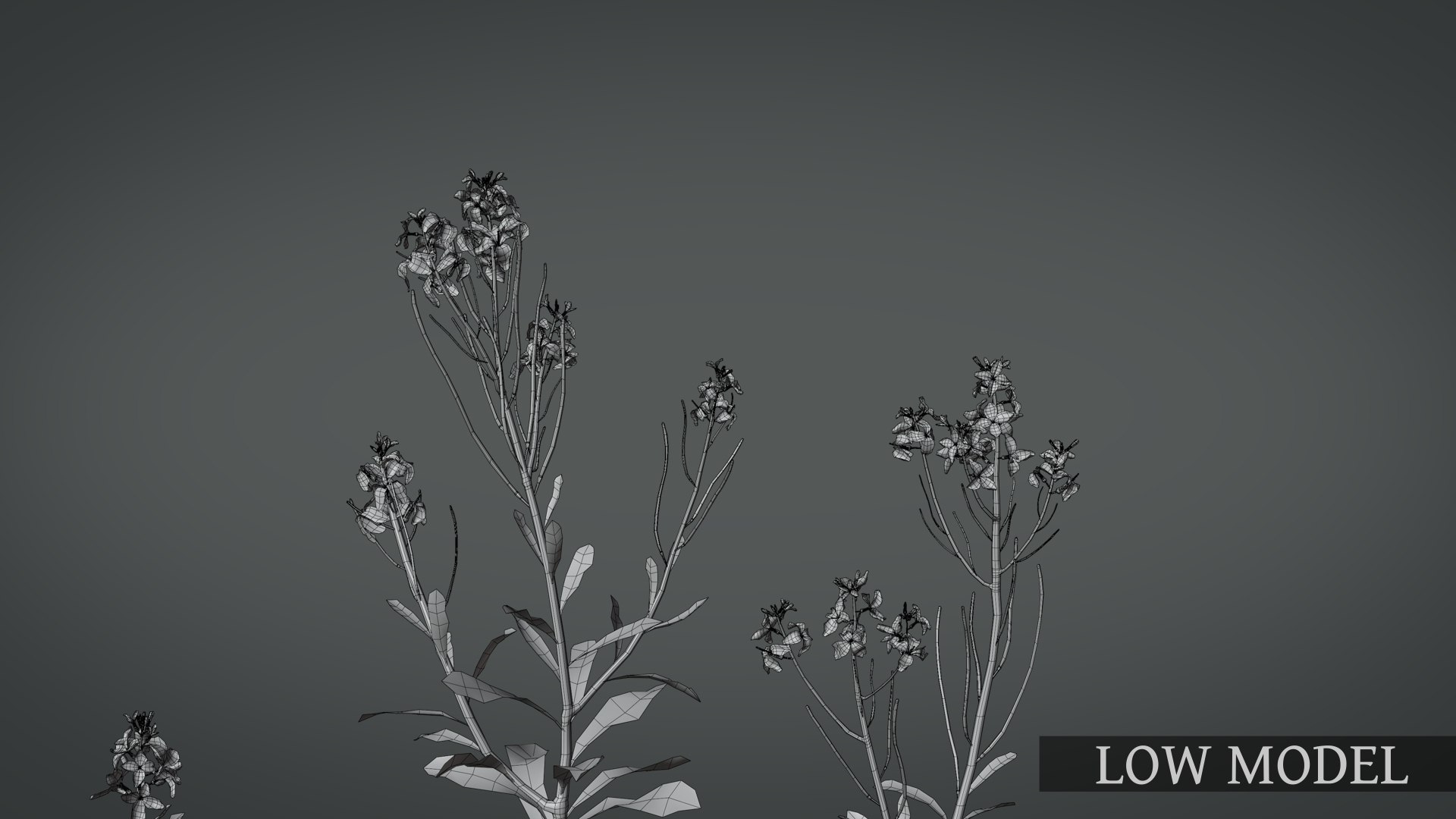 3D Violet Flower Model - TurboSquid 2068023