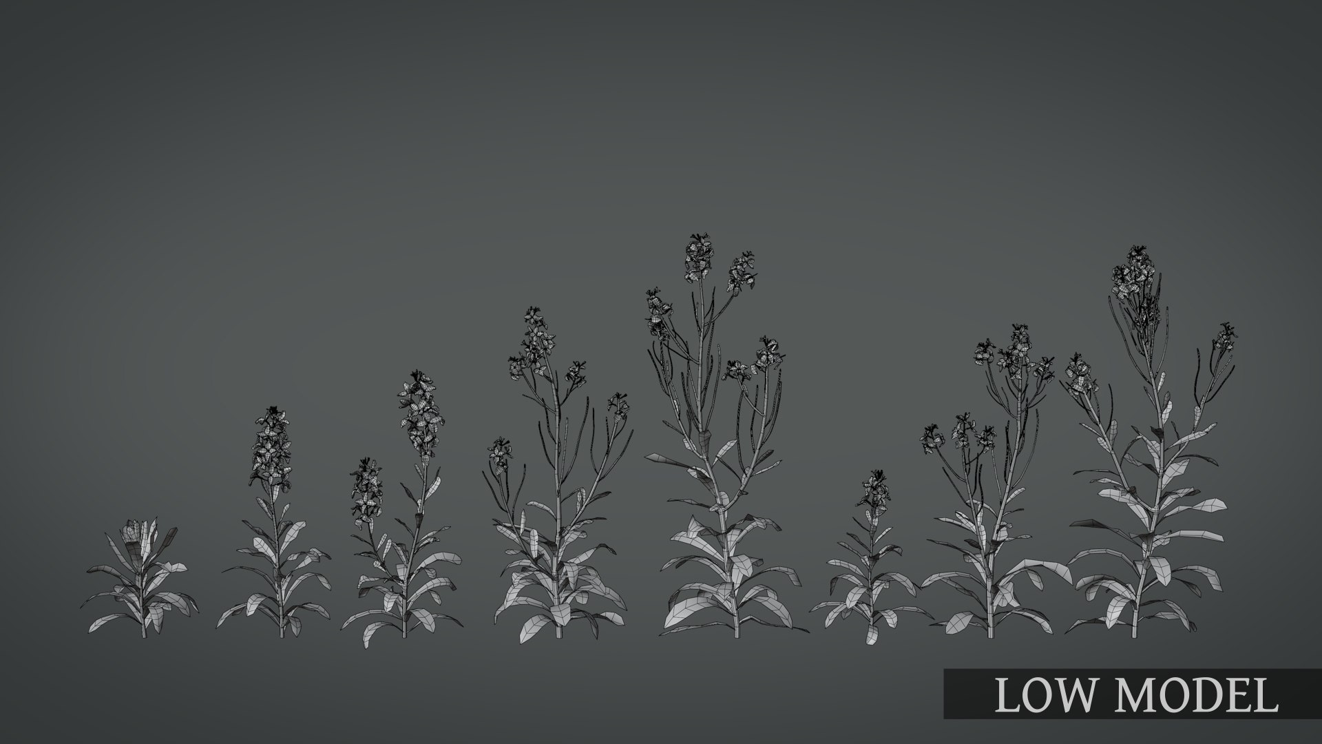 3D Violet Flower Model - TurboSquid 2068023