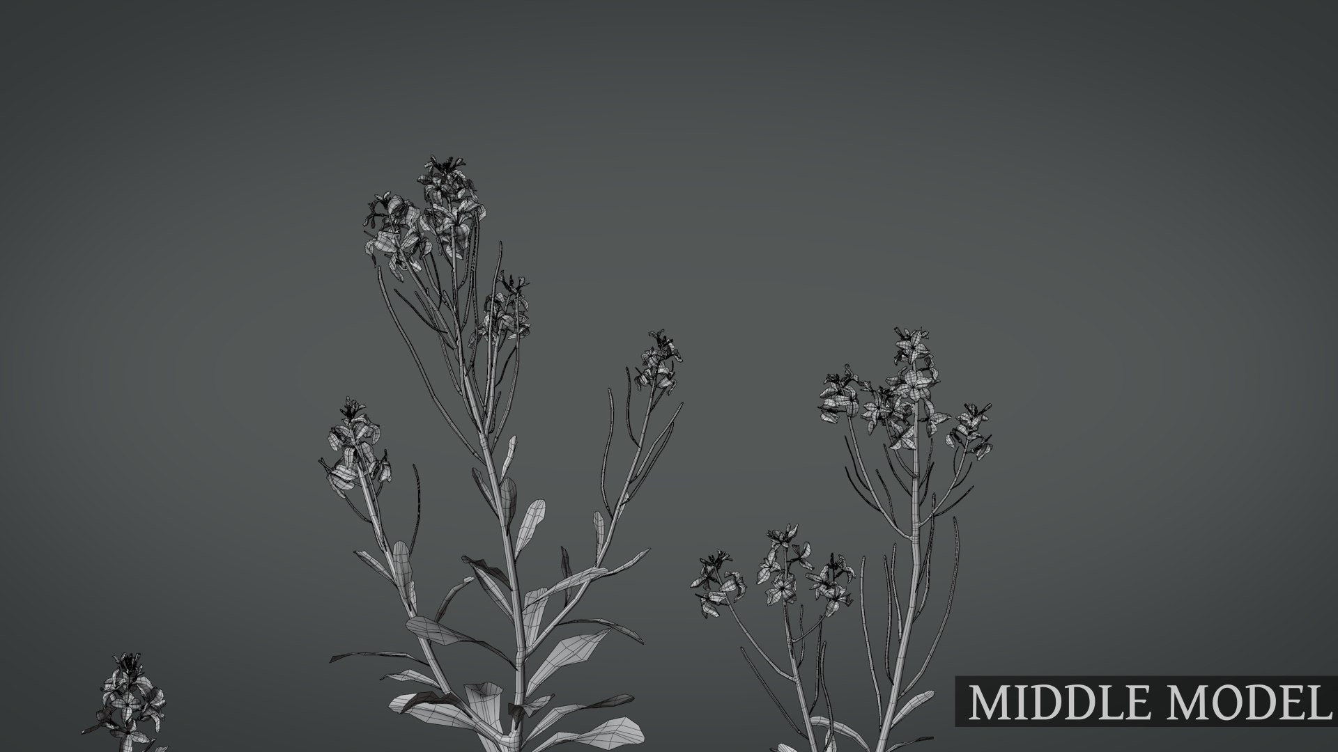 3D Violet Flower Model - TurboSquid 2068023
