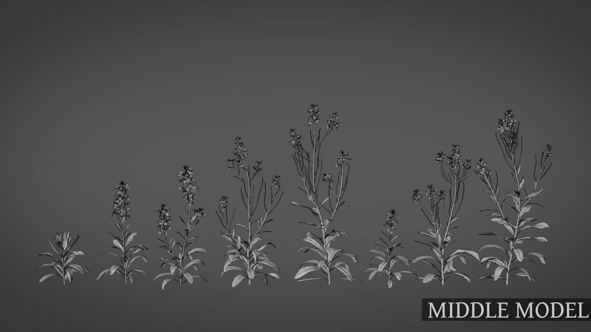 3D Violet Flower Model - TurboSquid 2068023