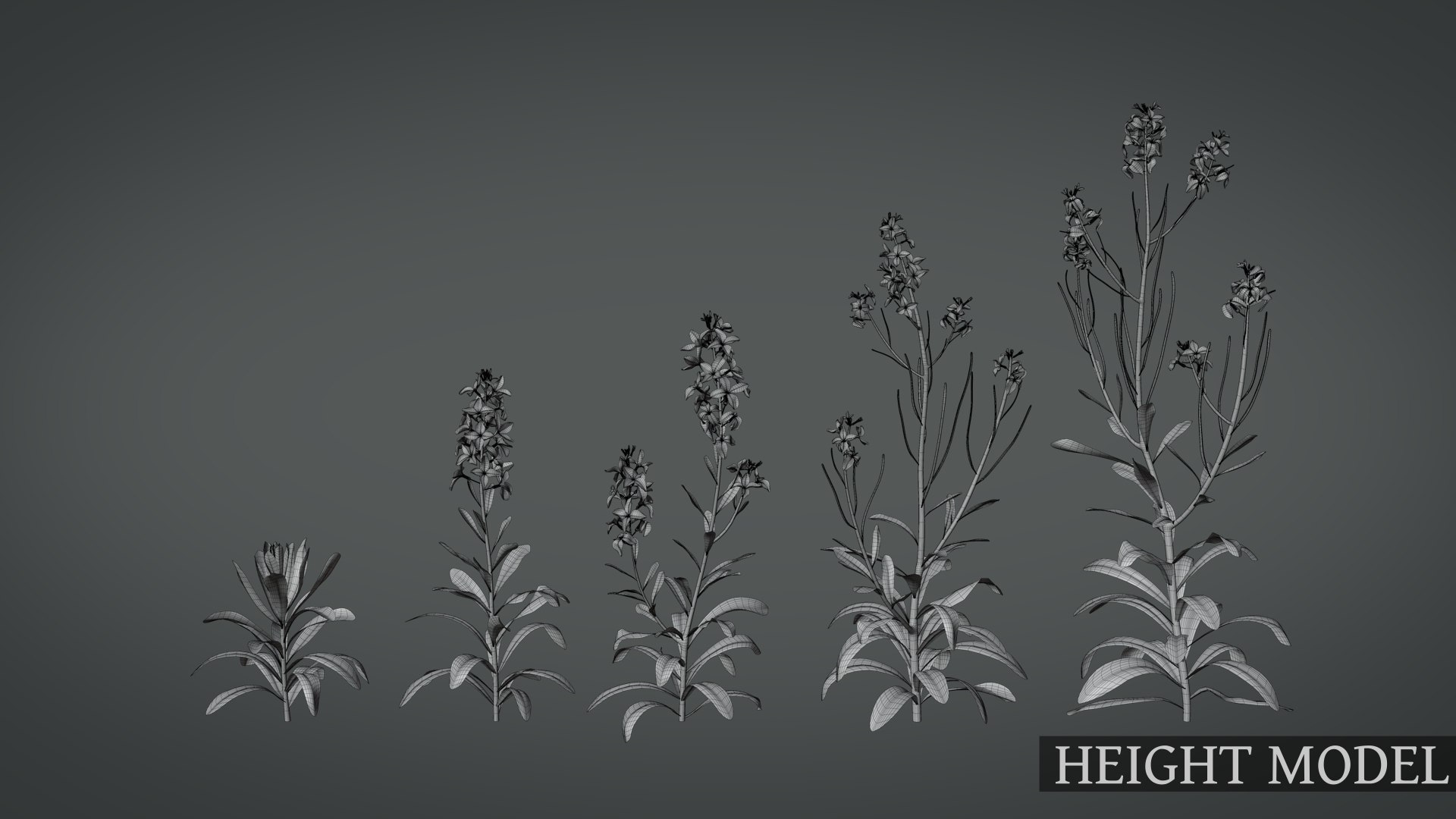 3D Violet Flower Model - TurboSquid 2068023