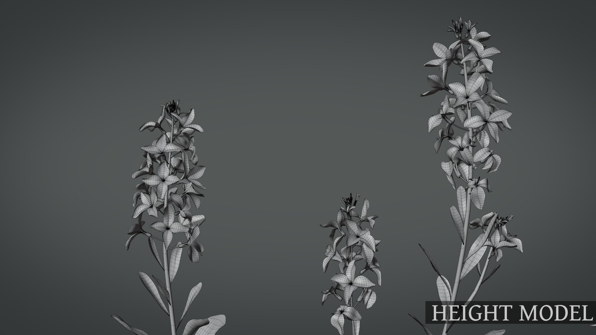 3D Violet Flower Model - TurboSquid 2068023