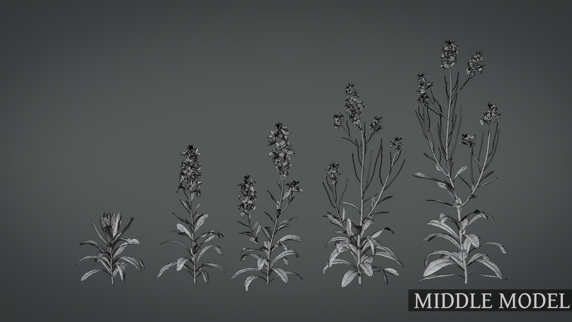 3D Violet Flower Model - TurboSquid 2068023