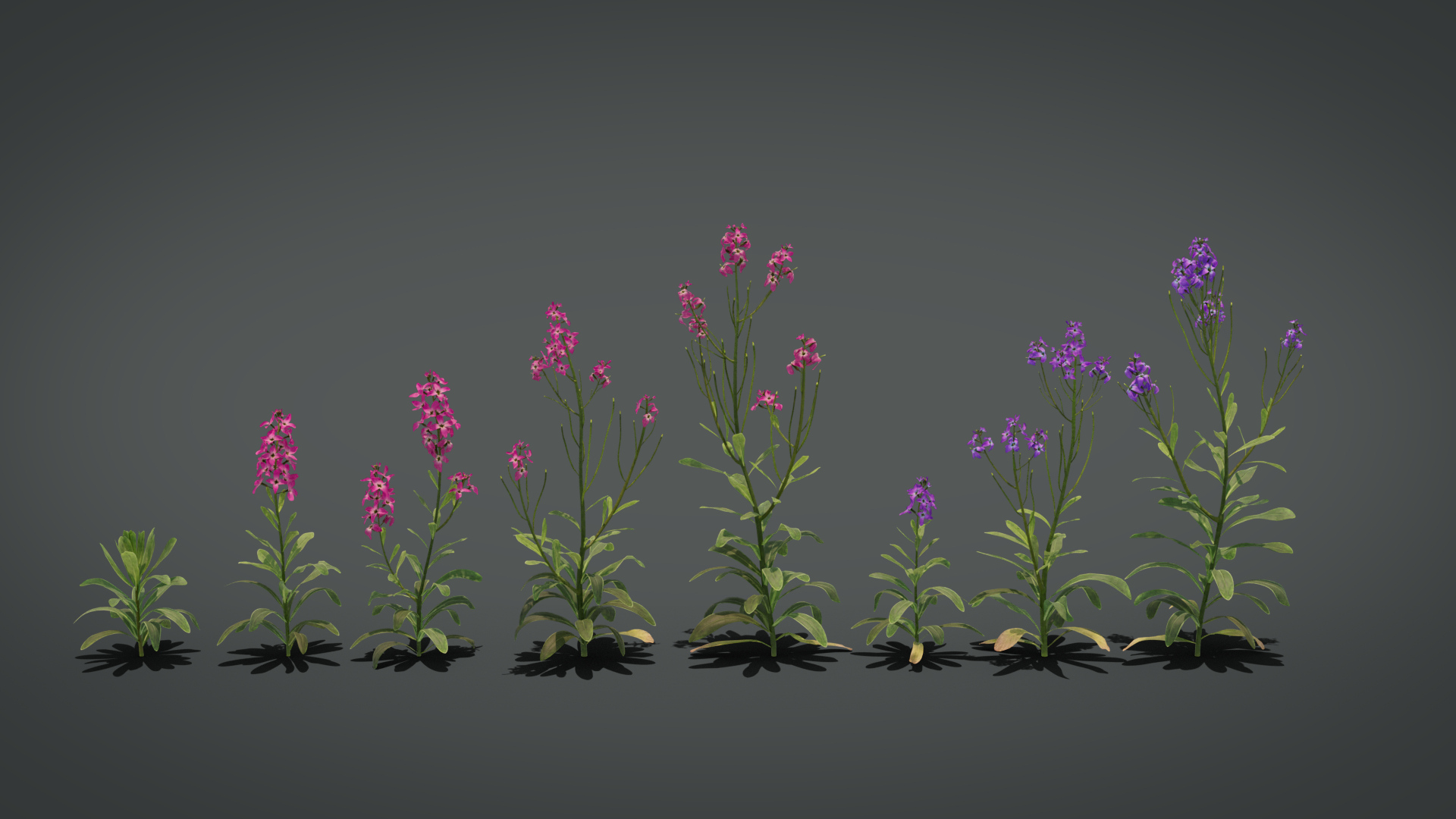 3D Violet Flower Model - TurboSquid 2068023