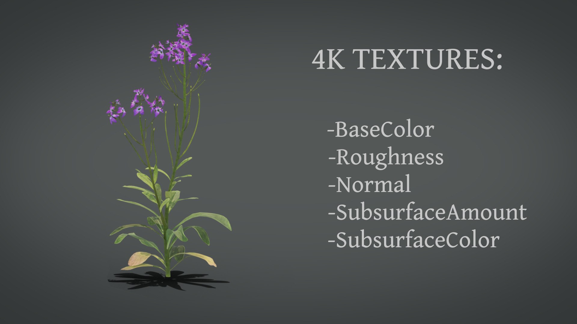 3D Violet Flower Model - TurboSquid 2068023