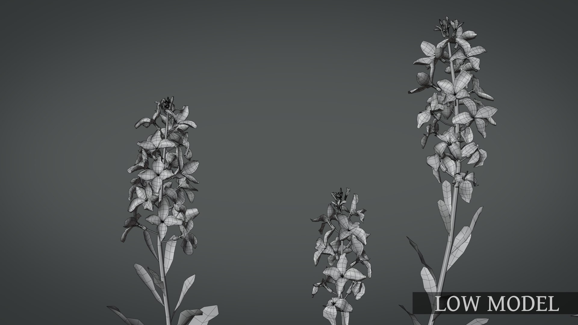 3D Violet Flower Model - TurboSquid 2068023