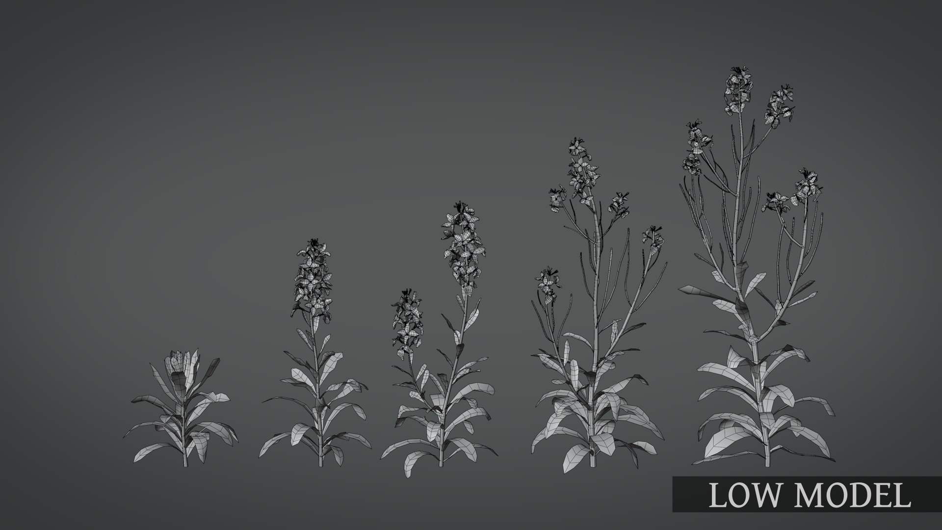 3D Violet Flower Model - TurboSquid 2068023