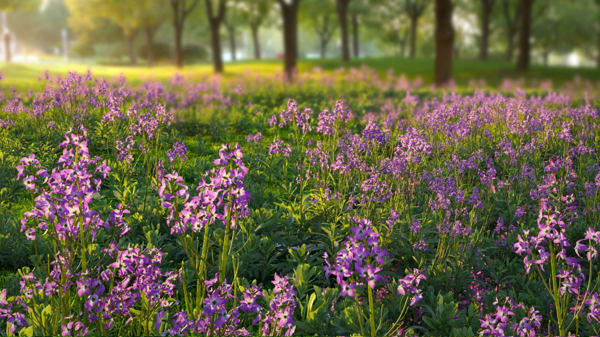 3D Violet Flower Model - TurboSquid 2068023