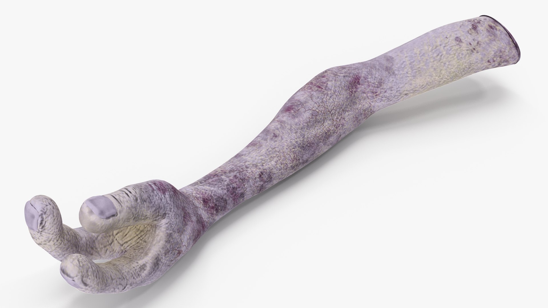 3D Alien Arm - TurboSquid 1631321