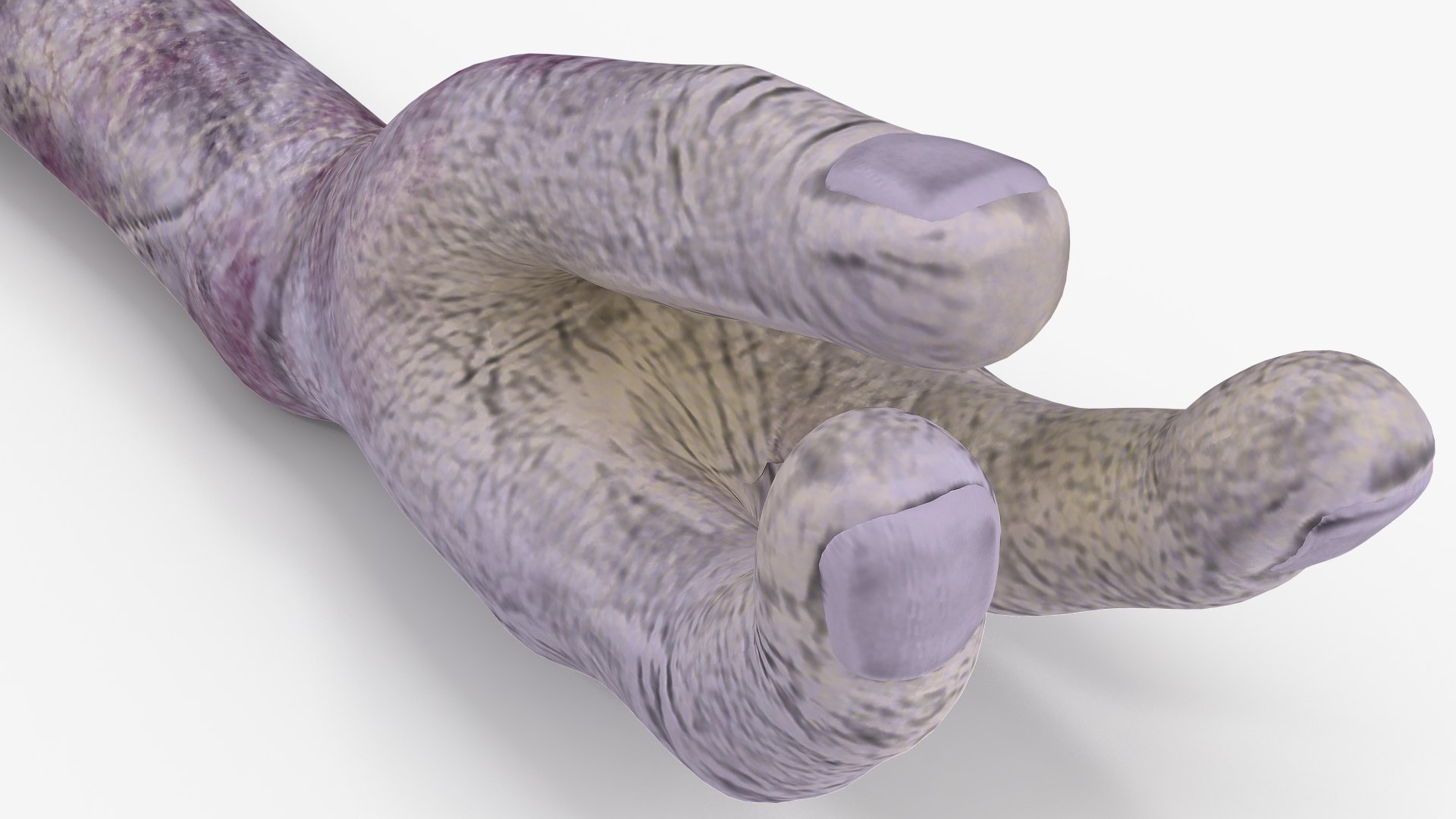 3D Alien Arm - TurboSquid 1631321