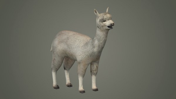 3D Lama Models | TurboSquid