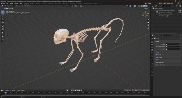 modelo 3d Esqueleto de mono tití común arrastrándose - TurboSquid 2310328